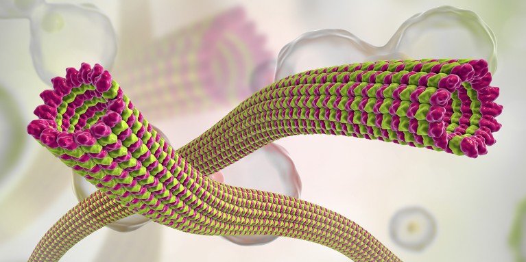 How cancer cells use mechanical forces to resist treatment