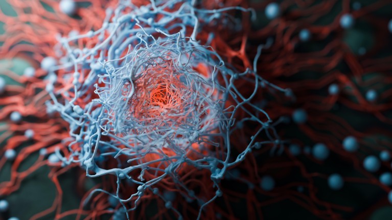 The hunt for universal cancer drug targets