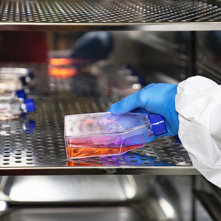 Expanding the reach of organoid research