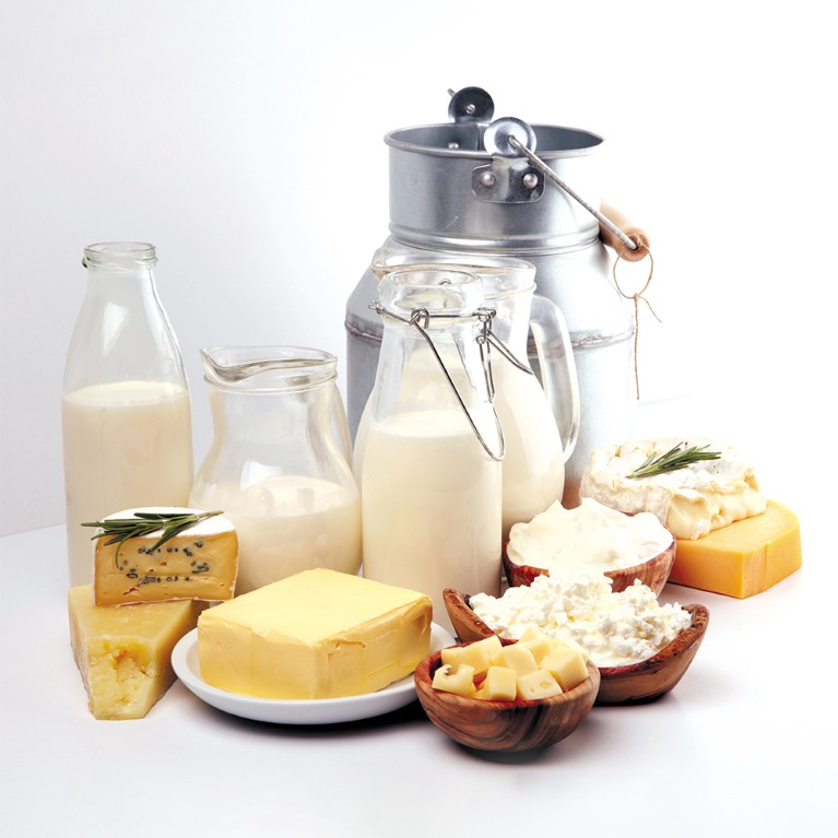 How Chinese science could reshape the global dairy industry