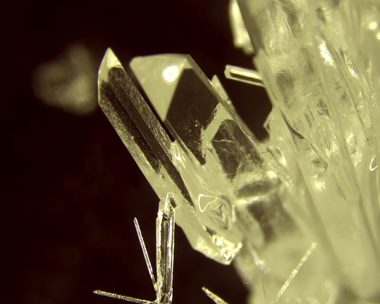 Exploring rare sugars as low-calorie sweeteners with hidden benefits