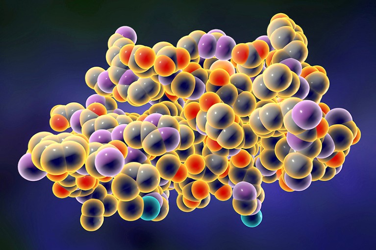 A history of insulin: initial discovery to first use in the treatment ...