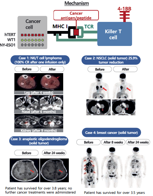 Using immunology to bring new paradigms to oncology therapies