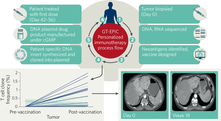 Exquisitely personalized cancer immunotherapies
