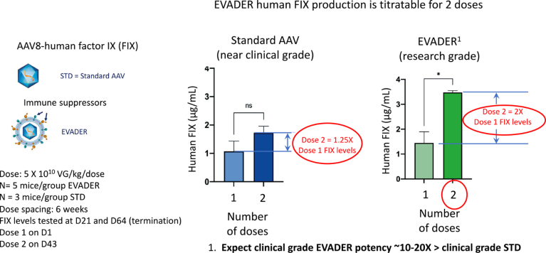 EVADER—stealth mode, next-generation AAV-based gene therapy vectors