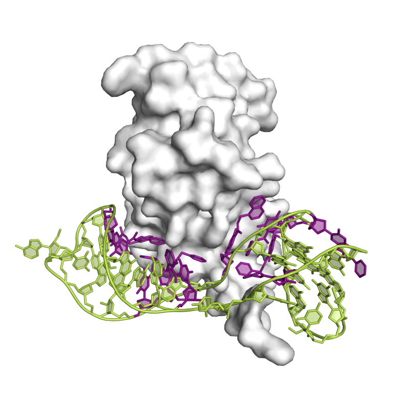 Precision proteomics for diagnostics, drug discovery, and health management