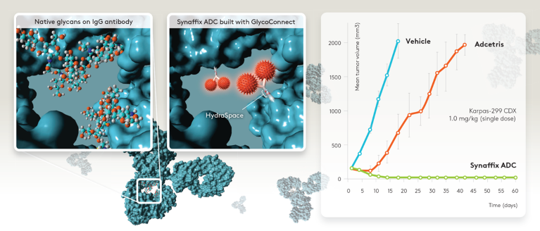 Hitting the antibody–drug conjugate sweet spot