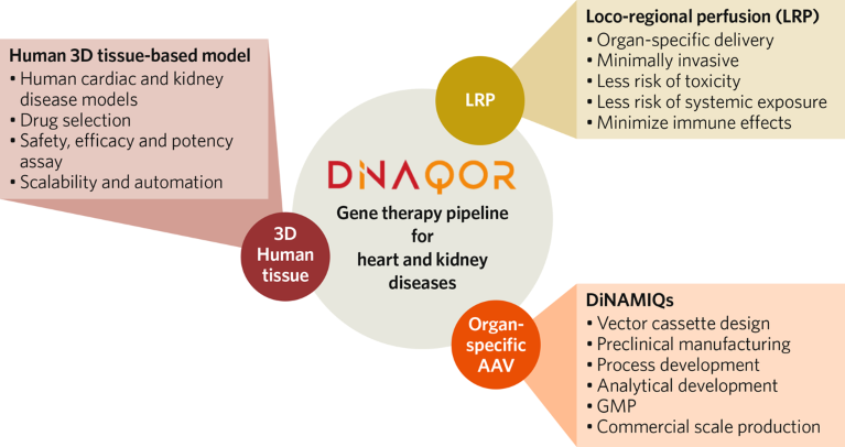 The DiNAQOR group: a disruptive holistic approach to genetic therapies