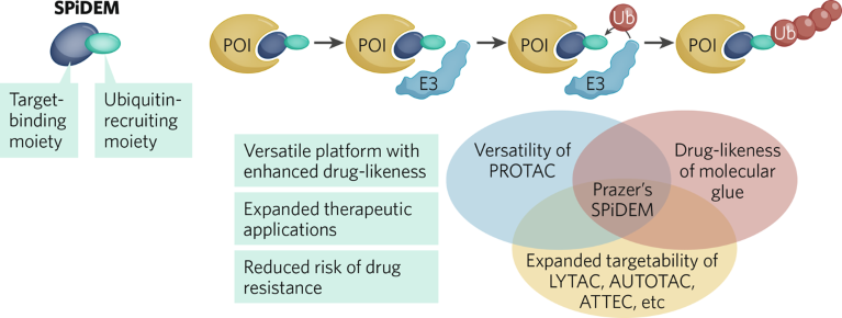 Transforming the future of targeted protein degradation with the SPiDEM ...