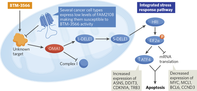 The good kind of stress