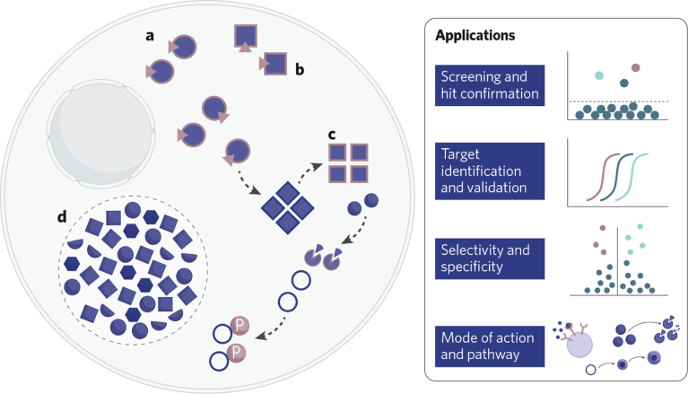 Drug discovery at the melting point: improving the odds