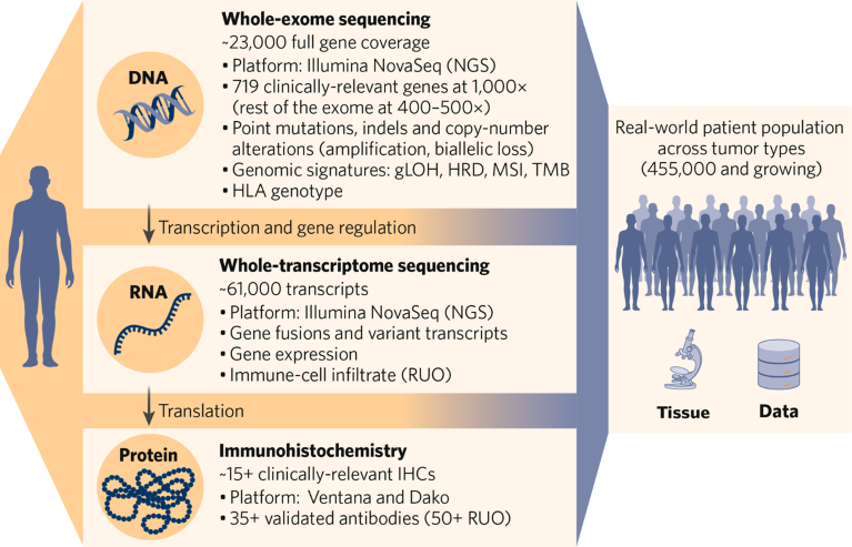 Powering the future of precision oncology medicine with big data