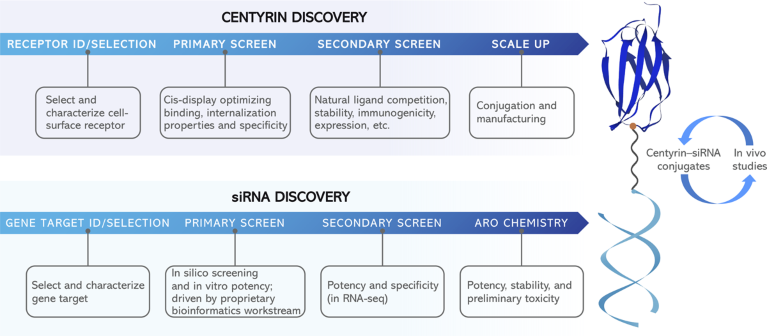 Opening new frontiers