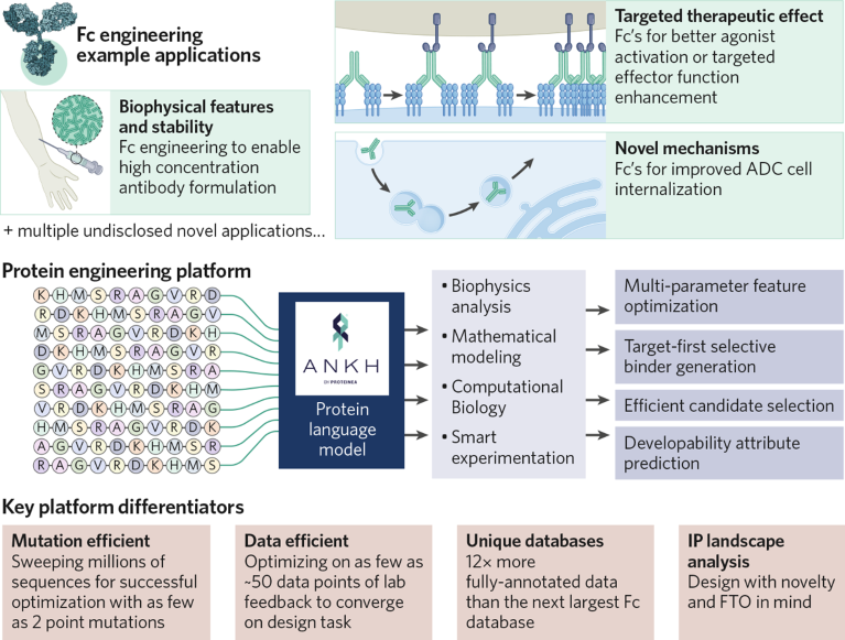 Speaking the language of antibodies