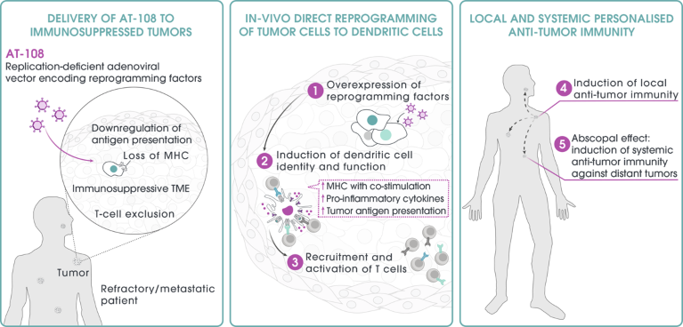 First-in-class immunotherapy reprograms tumor cells