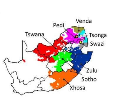 Language groups marked by genetic variants