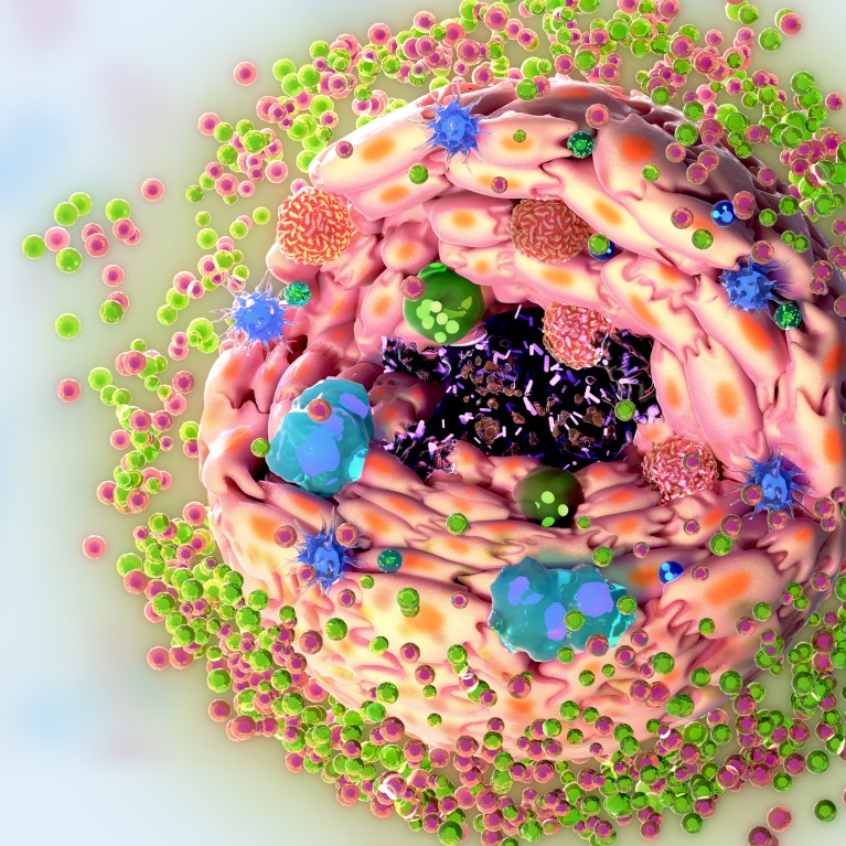 New cellular insights to change TB vaccine search