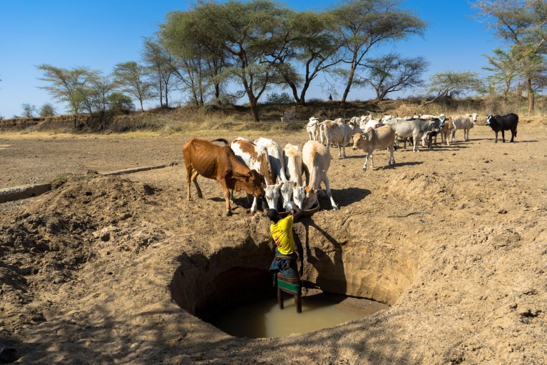 Malaria zones to decrease, but transmission to speed up under new ...