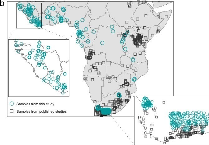 Pinpointing the origins of people taken from Africa for the slave trade
