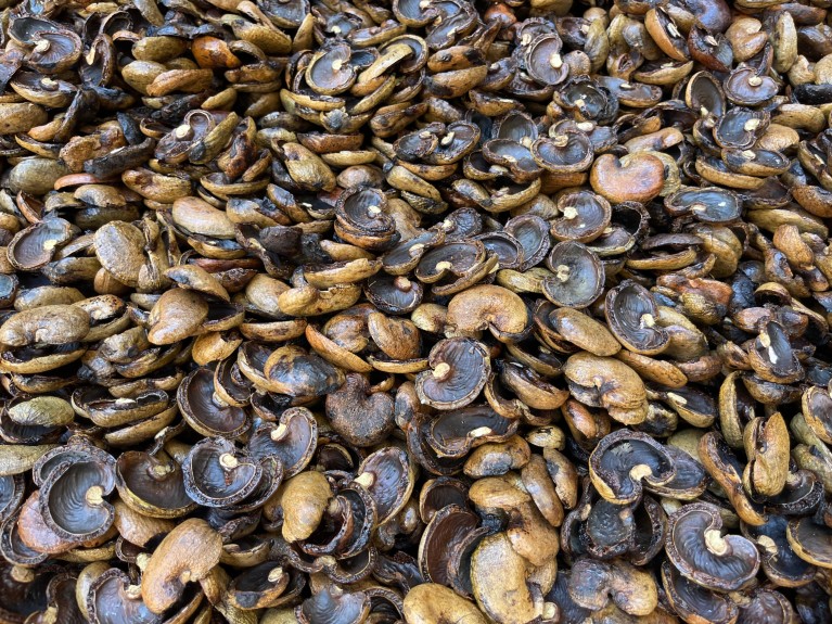 Cheaper mRNA vaccines in a nutshell