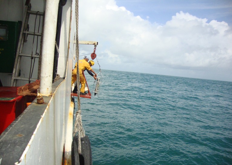 Submarine groundwater discharge in estuaries shapes biogeochemistry of seas