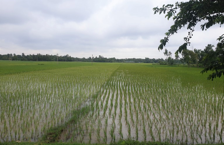 Measuring Ganga basin groundwater for irrigation purposes