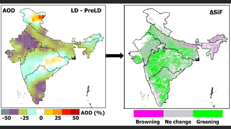 Reduced pollution during COVID-19 lockdown increased greenness in India