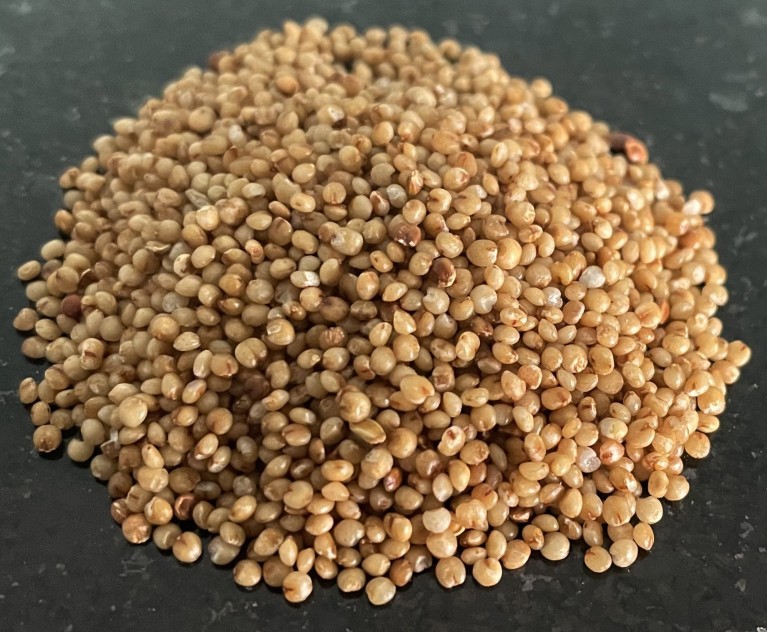 Polishing millet grains makes them less nutritious