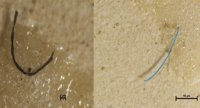 A deep-sea mineral hunt reveals hidden plastic pollution
