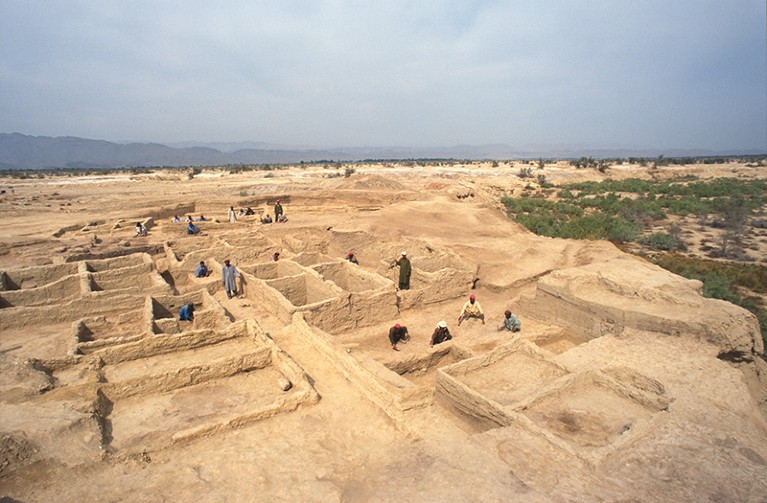 Indus Valley farming started later than thought, radiocarbon study shows