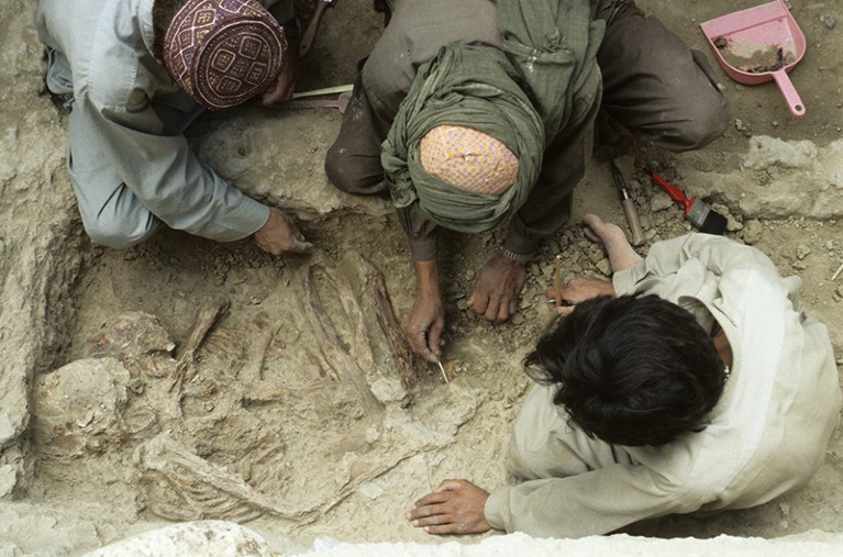 Indus Valley farming started later than thought, radiocarbon study shows