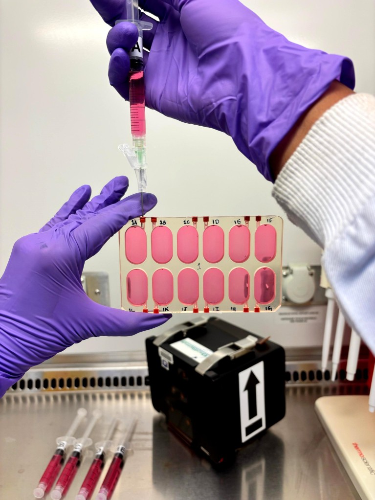 Space mission to take algae, muscles, tardigrades to ISS
