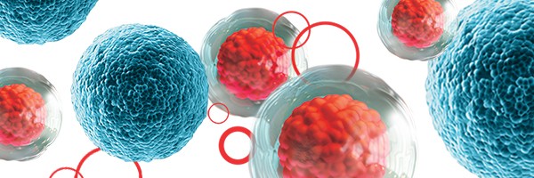 Live single-cell metabolomics by mass spectrometry: challenges and ...