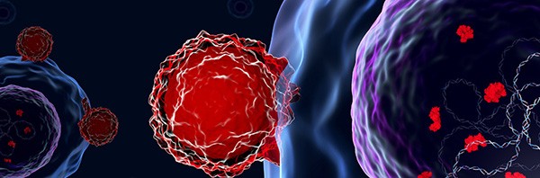 CRISPR screens decode human T cell function