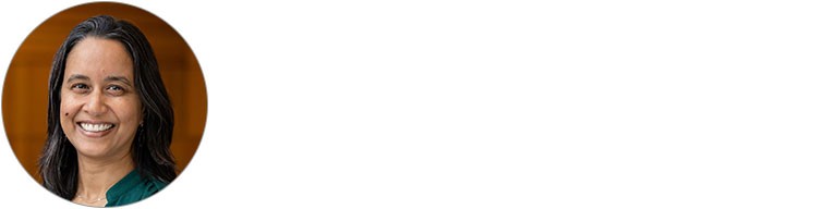 Fly whole brain connectome revealed