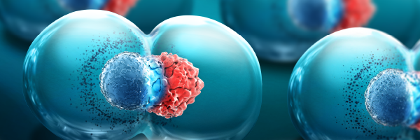 Enabling precise interrogation of single-cell interactions and ...