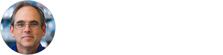 3D spatial profiling of immune niches in human cancer