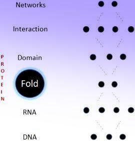 A periodic table for biology