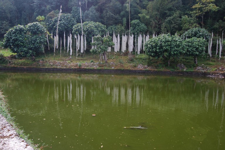 Springs, not glaciers, fighting back climate change in eastern Himalayas