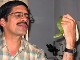 How to overcome research rut