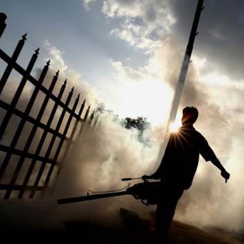 Basic research the best weapon in the age-old malaria battle