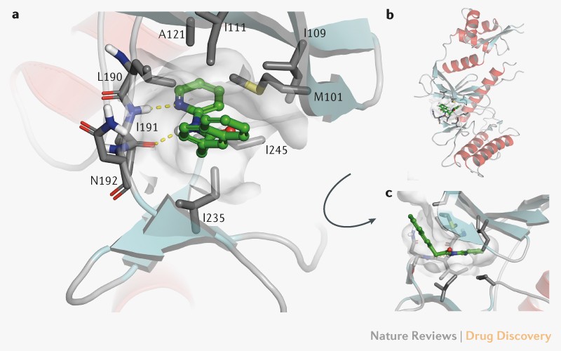 RIOK2: straddling the kinase/ATPase line