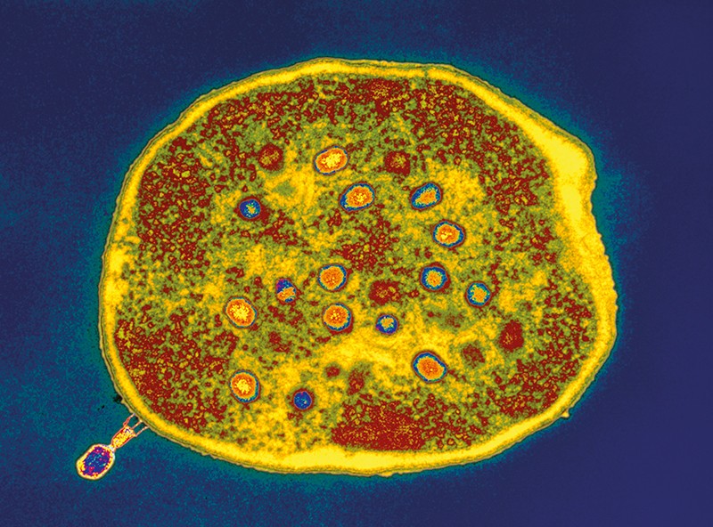 Four stories of antibacterial breakthroughs