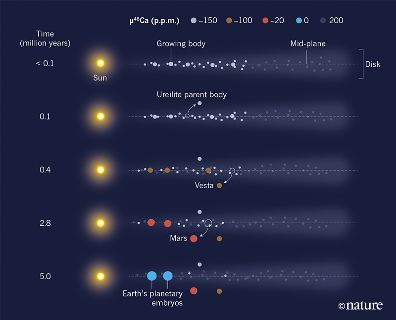 Calcium signals in planetary embryos