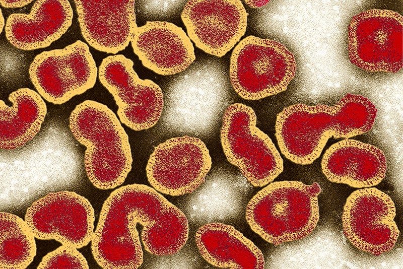 Flu virus finally sequenced in its native form