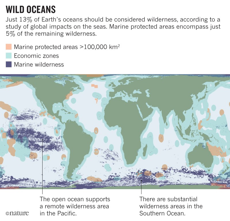Wilderness is vanishingly rare in Earth’s oceans