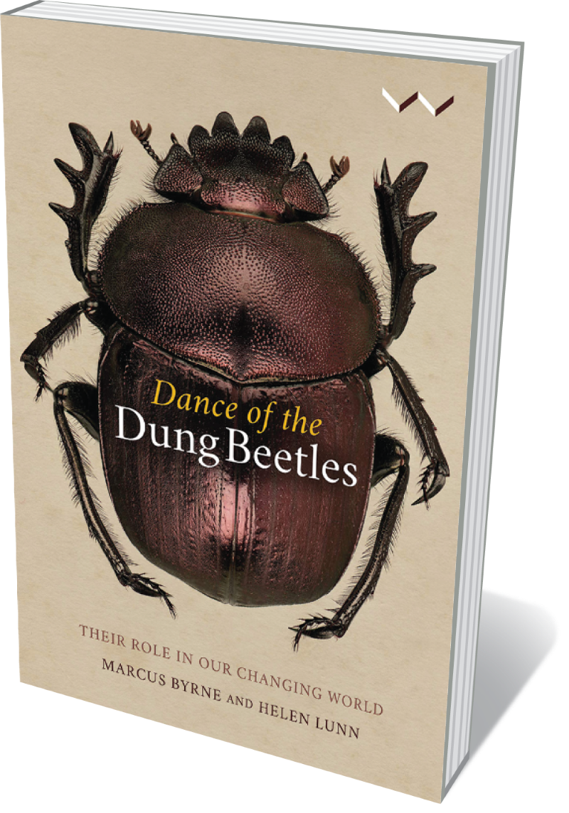 The science of magic, dung beetles on parade, and the unexplored depths ...