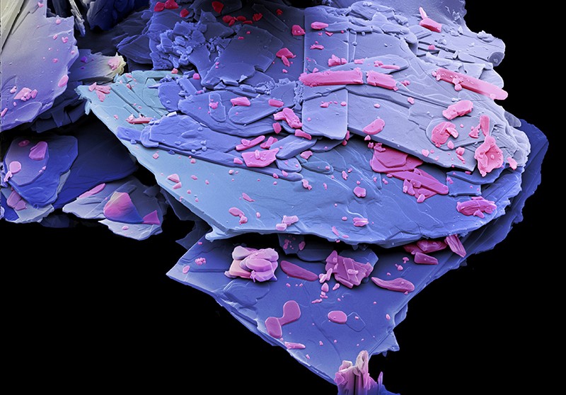 Altered minds: mescaline’s complicated history