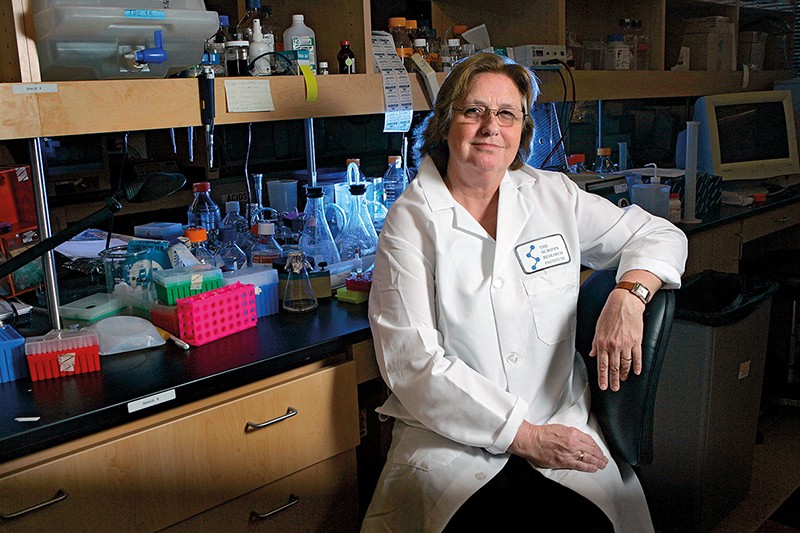 Why stem cells might save the northern white rhino