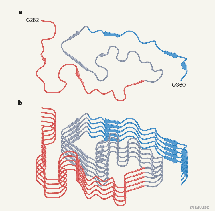 Aggregates of TDP-43 protein spiral into view